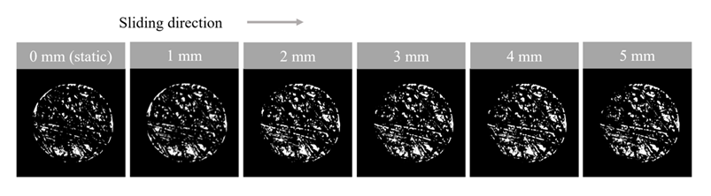 In-situ micro-asperity investigation of real contact area formation ...