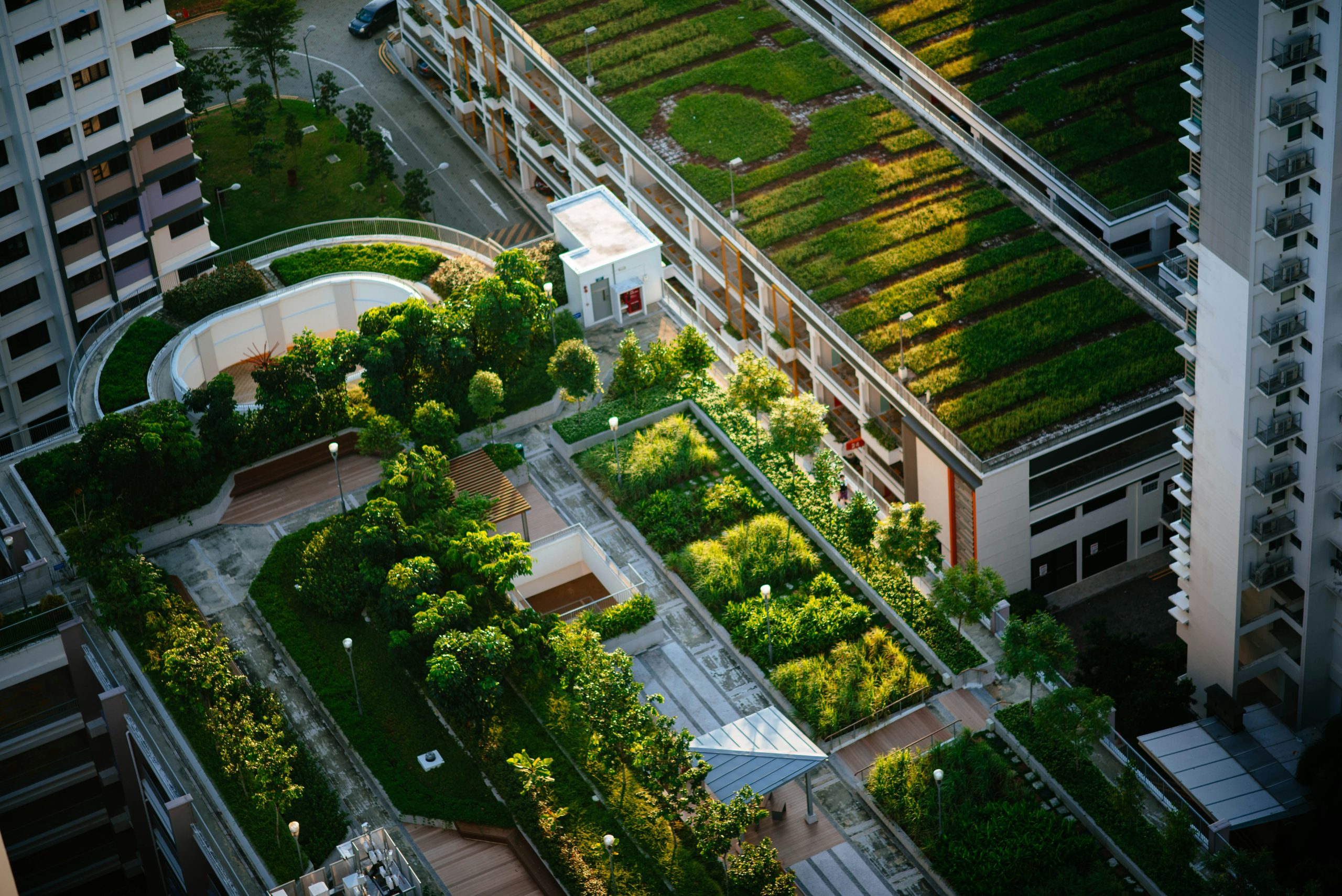 Blue-Green Roofs: Cooling Cities Even During Droughts - Fakulteta za ...